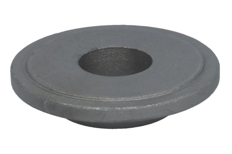 SAF 1 101 2001 00 / axle mounting washer fits: saf bm, eu, hu ...